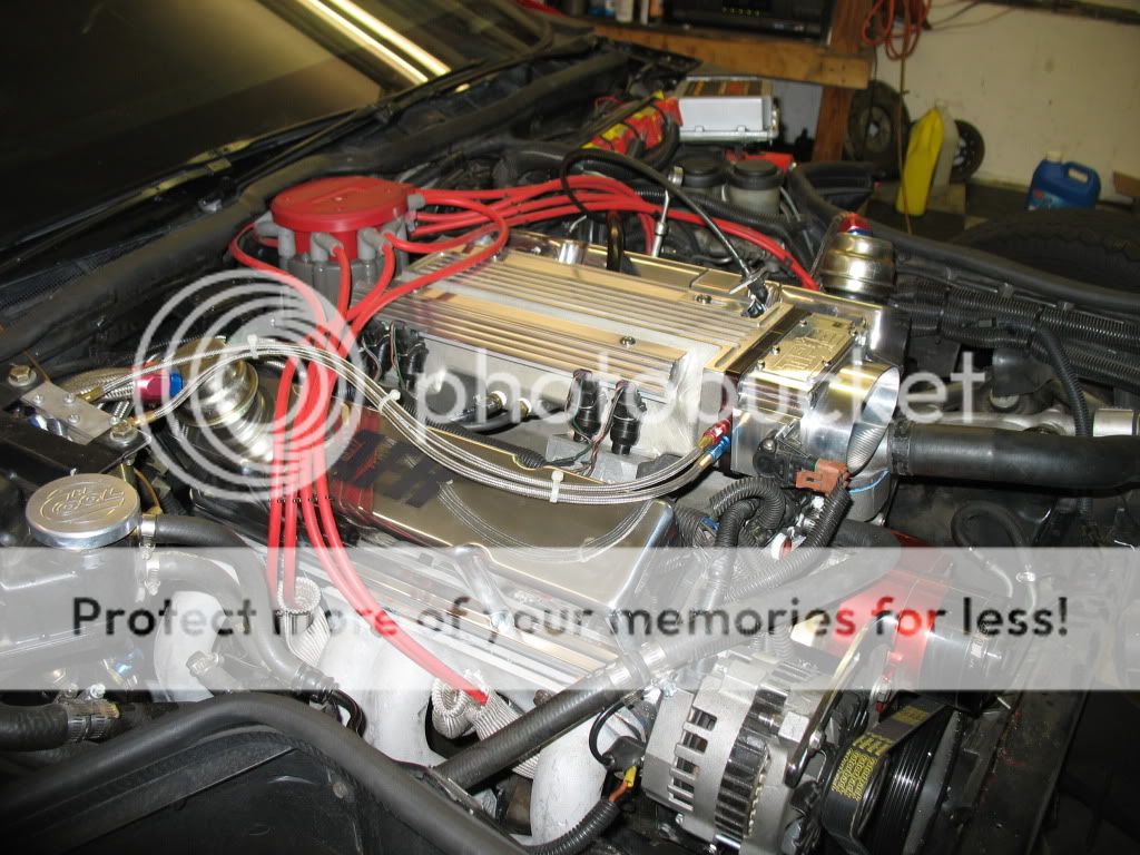 AFR 235's... First Pic's and impressions - Page 3 - CorvetteForum ...