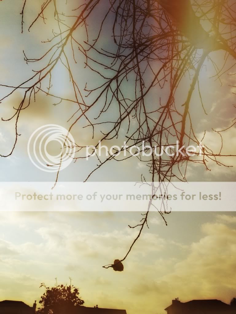 Corey Daniel Grunewald