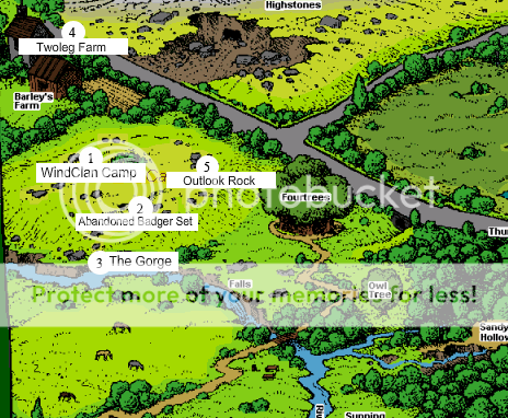 ☁ WindClan ☁ | Page 1 | ☁ Warriors of Light ☁ | Guild Forums | Gaia Online